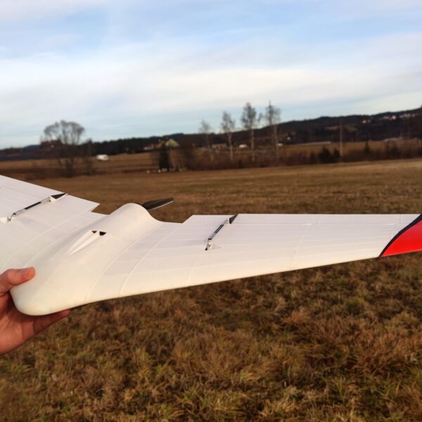 Duck delta wing – 3DLabPrint