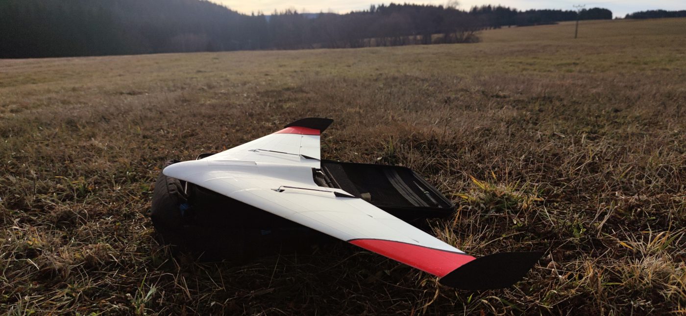 Duck delta wing – 3DLabPrint