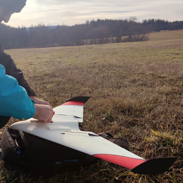 Duck delta wing – 3DLabPrint